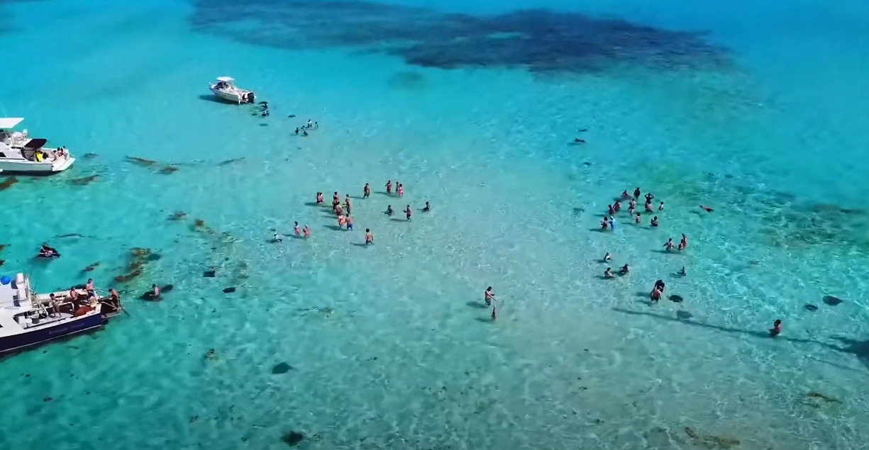 Isla Caimán: Un Paraíso en el Caribe - Oistevos.com